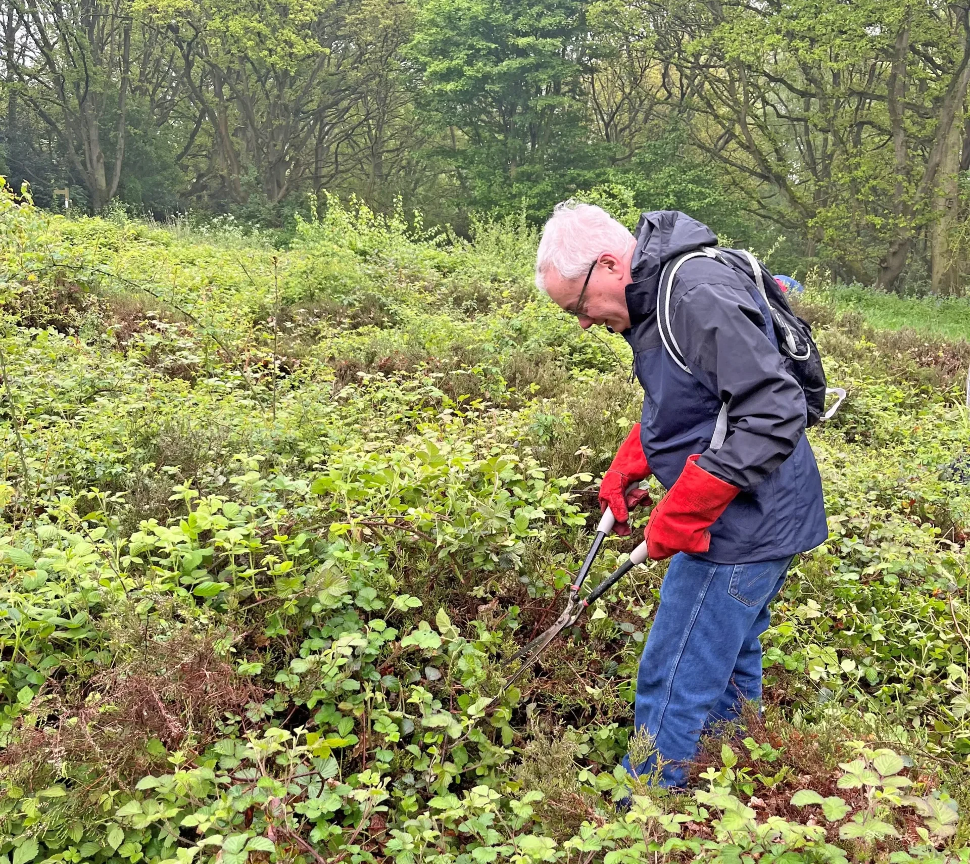 From Boardroom to Brambles: Our team dives into conservation at ...